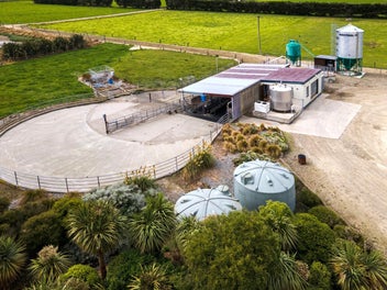 Waimate Rural properties | Trade Me Property