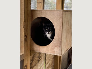 Outdoor Cat Houses | Shop New & Used | Trade Me Marketplace
