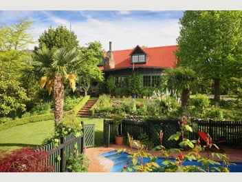 Scott Healey | Real Estate Agent | Trade Me Property