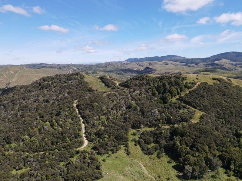 4080 Pahiatua Pongaroa Road, Pongaroa, Tararua, Manawatu / Whanganui