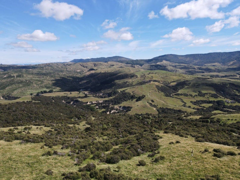 4080 Pahiatua Pongaroa Road, Pongaroa, Tararua, Manawatu / Whanganui