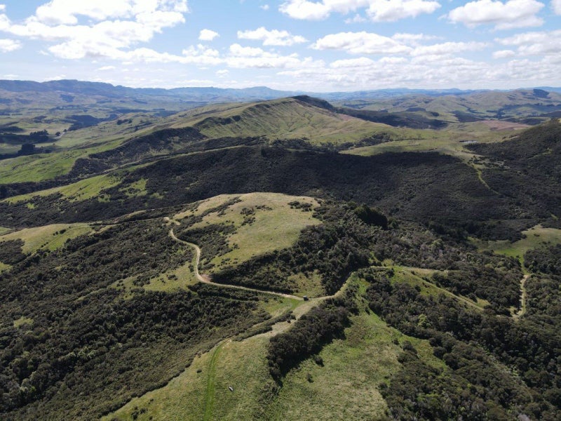 4080 Pahiatua Pongaroa Road, Pongaroa, Tararua, Manawatu / Whanganui