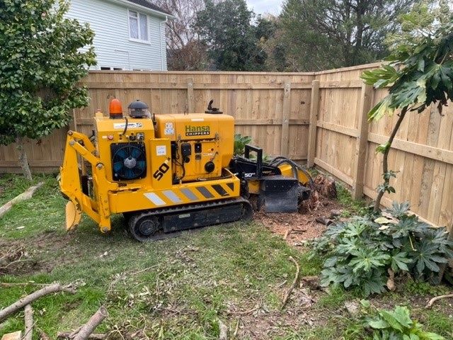 Stump grinding, Tree removal and pruning | Trade Me Services