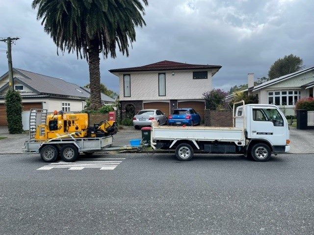 Stump grinding, Tree removal and pruning | Trade Me Services