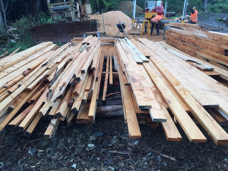 Timber Sales and Portable Sawmilling Services | Trade Me Services