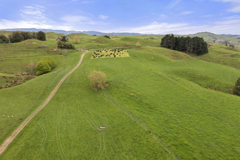 Waitomo Rural properties | Trade Me Property