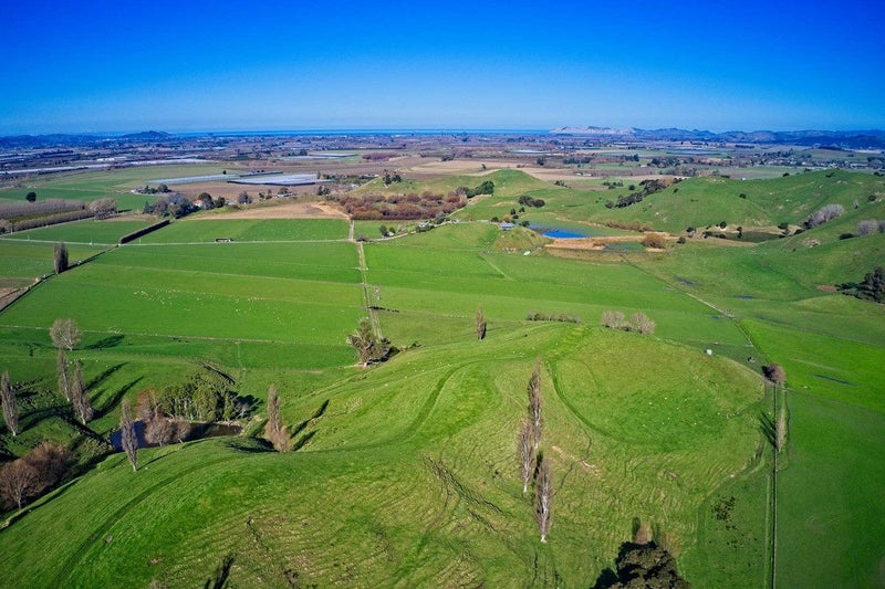 'Waituhi', Lavenham Road, Patutahi, Gisborne, Gisborne