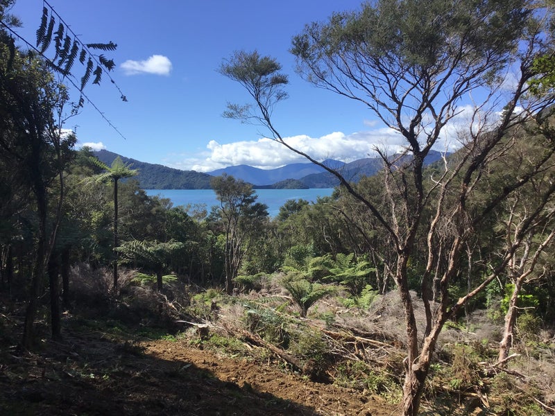 Pelorus Sound, Pelorus Sounds, Marlborough, Marlborough