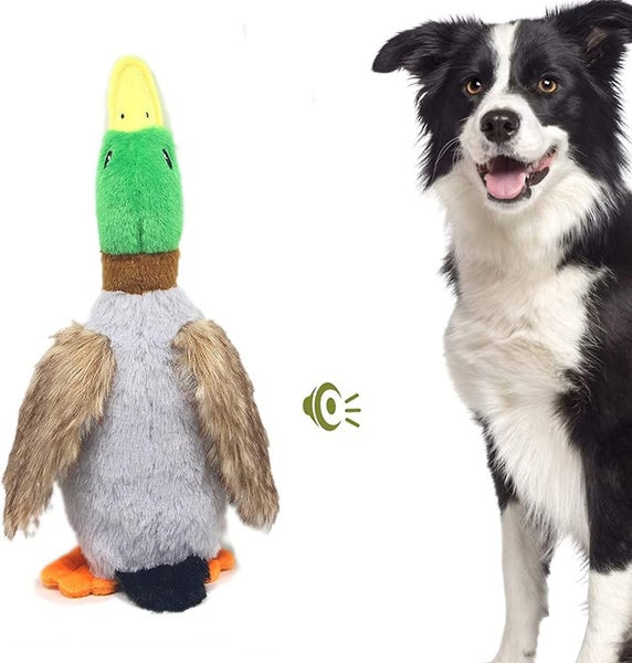 Dog Squeaky Toys, Quacking Mallard Duck Pet Dog Toy, Squeaky Dog Toy ...