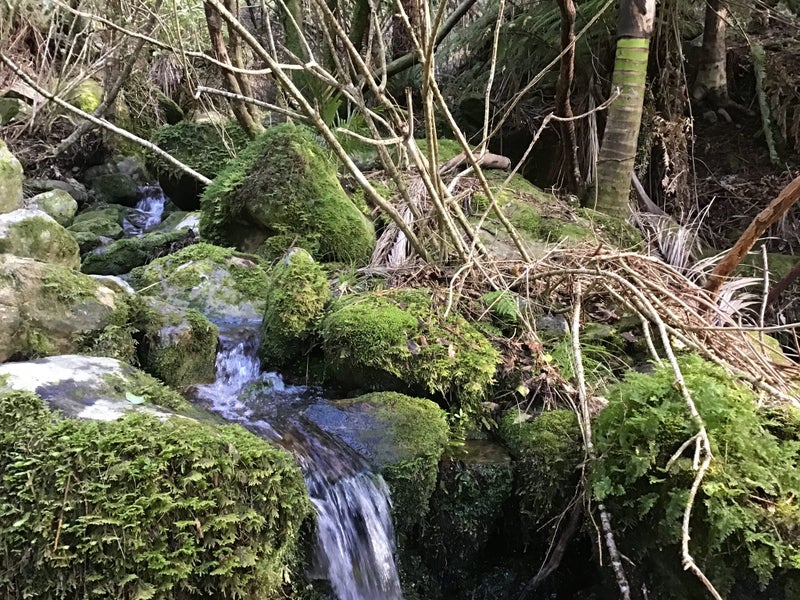 Pelorus Sound, Pelorus Sounds, Marlborough, Marlborough