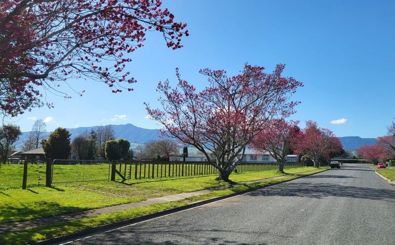 Lot 2/24 Temm Road, Te Poi, Te Poi, Matamata-Piako, Waikato