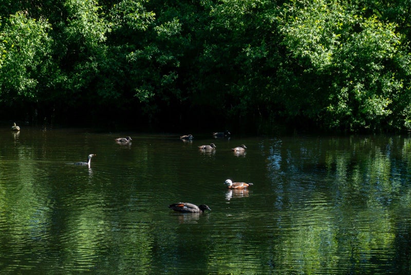 Apirana Road, Horohoro, Rotorua, Bay Of Plenty
