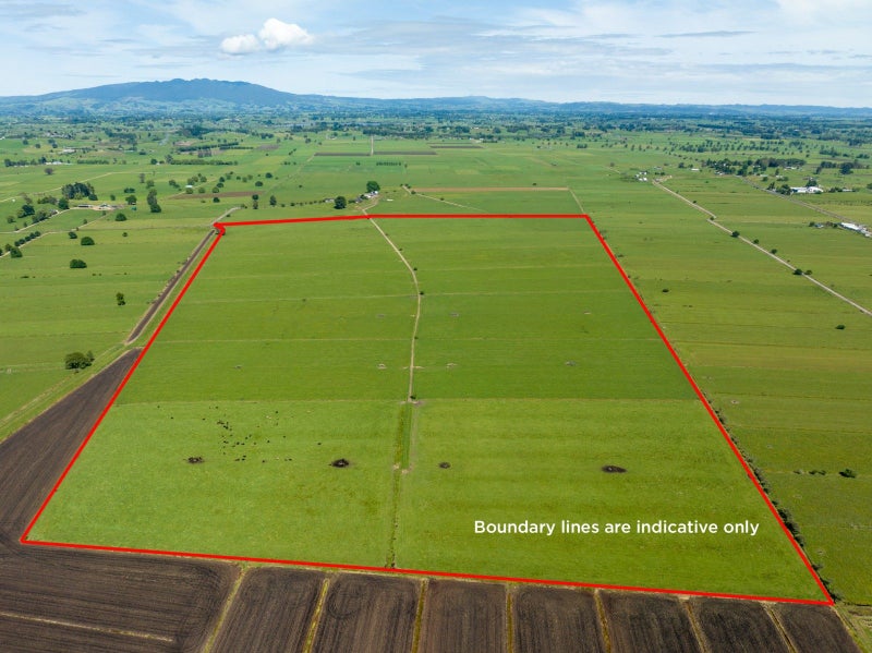 Waipa Rural properties | Trade Me Property