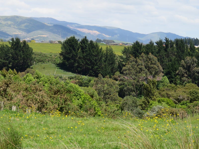 248 Polson Hill Drive, Aokautere, Palmerston North, Manawatu ...