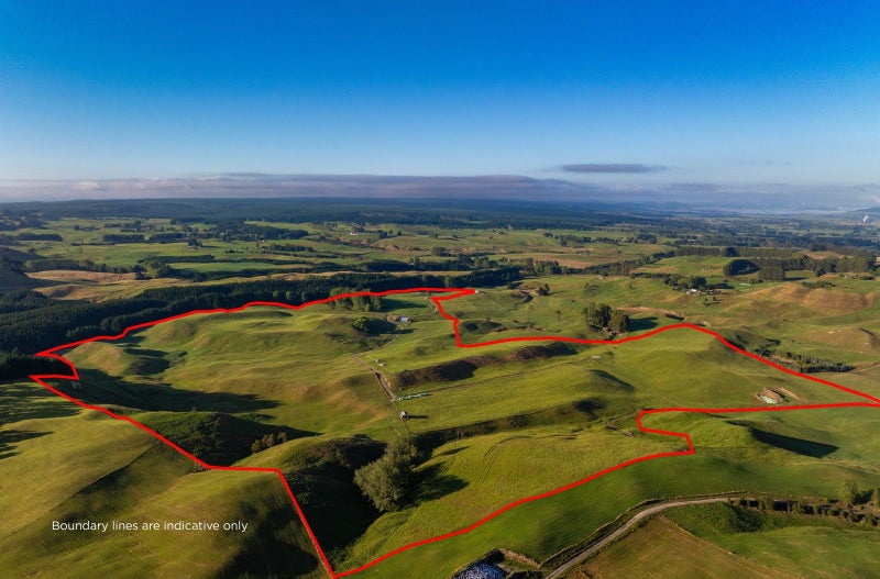 Rotorua Rural properties | Trade Me Property