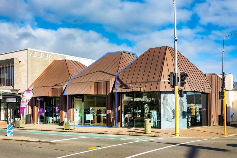 205 Papanui Road, Merivale, Christchurch City, Canterbury