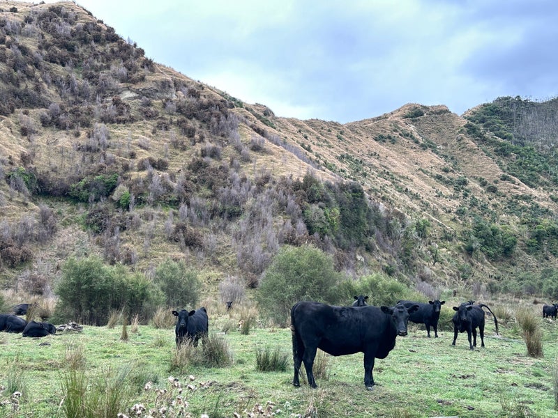 530 Lakes Road, Waitotara, South Taranaki, Taranaki
