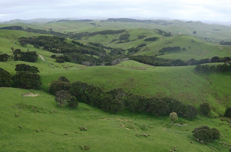 37 Waikakahi Road Pongaroa, Pongaroa, Tararua, Manawatu / Whanganui