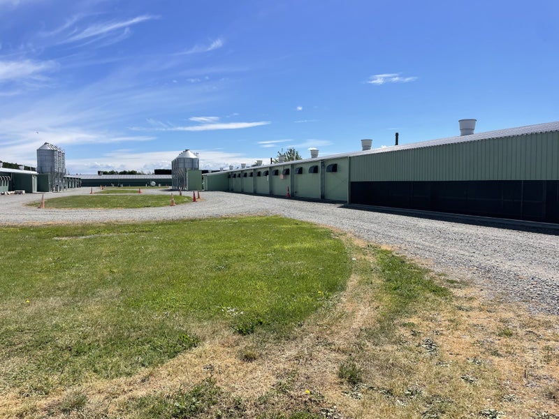 63 Springston Rollerston Road, Rolleston, Selwyn, Canterbury