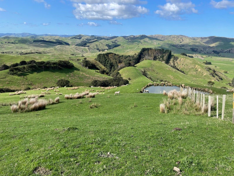 37 Waikakahi Road Pongaroa, Pongaroa, Tararua, Manawatu / Whanganui