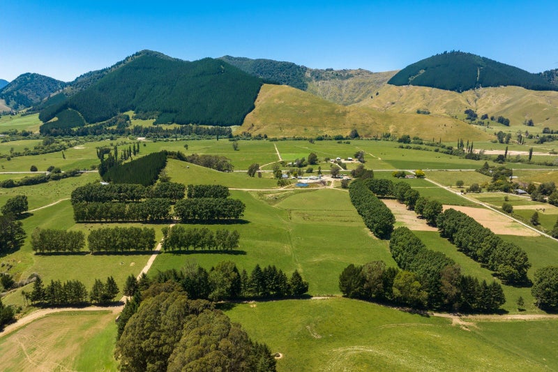 6679 State Highway 6, Rai Valley, Marlborough, Marlborough