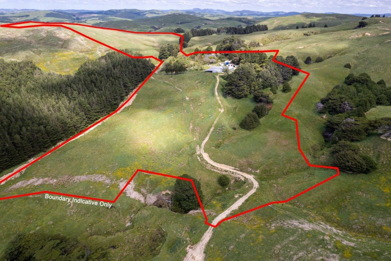 559 Korora Road, Pongaroa, Tararua, Manawatu / Whanganui