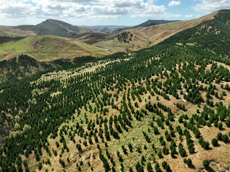 Huia Road, Pongaroa, Tararua, Manawatu / Whanganui