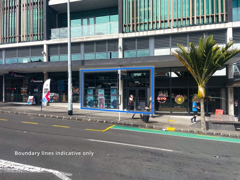 T5 | 4 Williamson Avenue, Ponsonby, Auckland City, Auckland