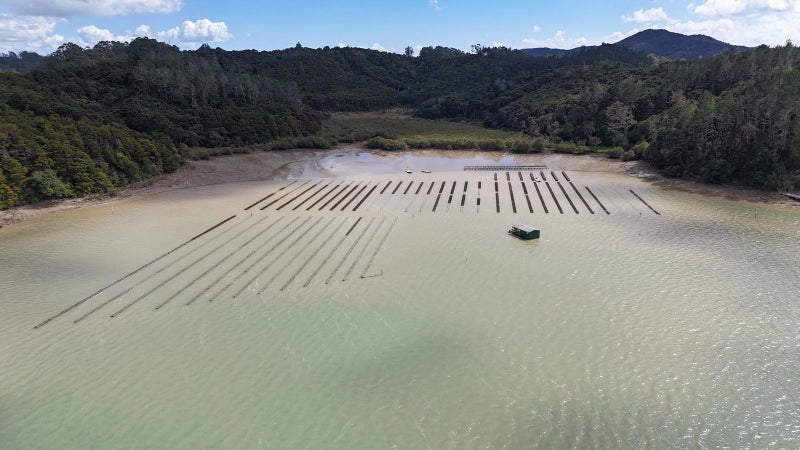 Waikare Inlet, Opua, Far North, Northland