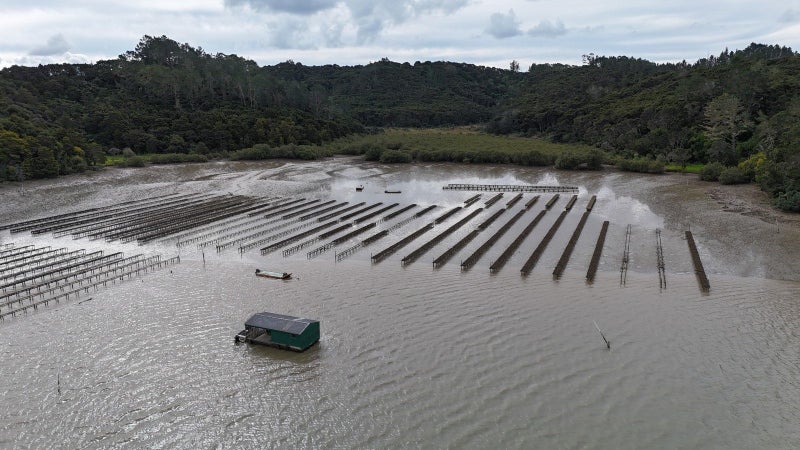 Waikare Inlet, Opua, Far North, Northland
