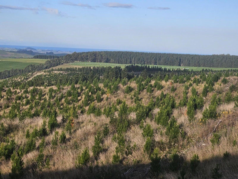 The Dasher Road, Oamaru, Waitaki, Otago