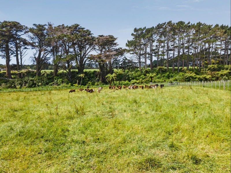 177A Mid Puniho Road Sections, Warea, South Taranaki, Taranaki For Sale