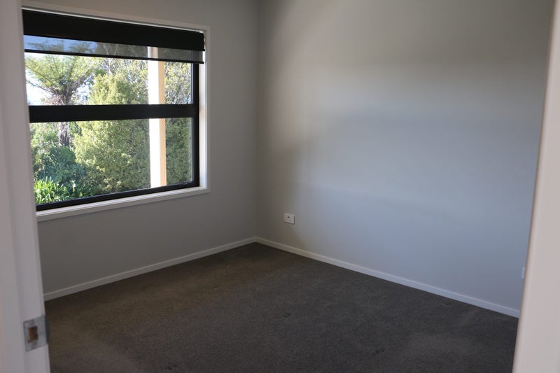 Esdaile Road, Whakamarama, Western Bay Of Plenty, Bay Of Plenty