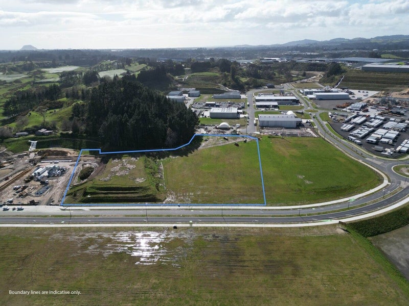 222 Kaweroa Drive, Tauriko, Tauranga, Bay Of Plenty