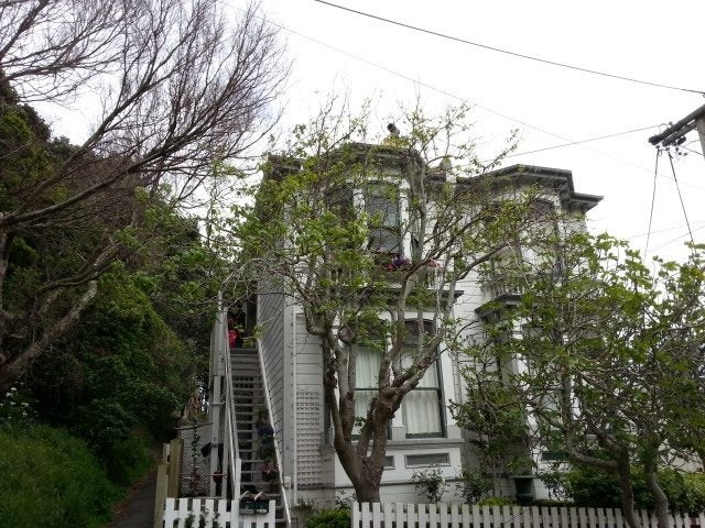 140B Elizabeth Street, Mount Victoria, Wellington, Wellington