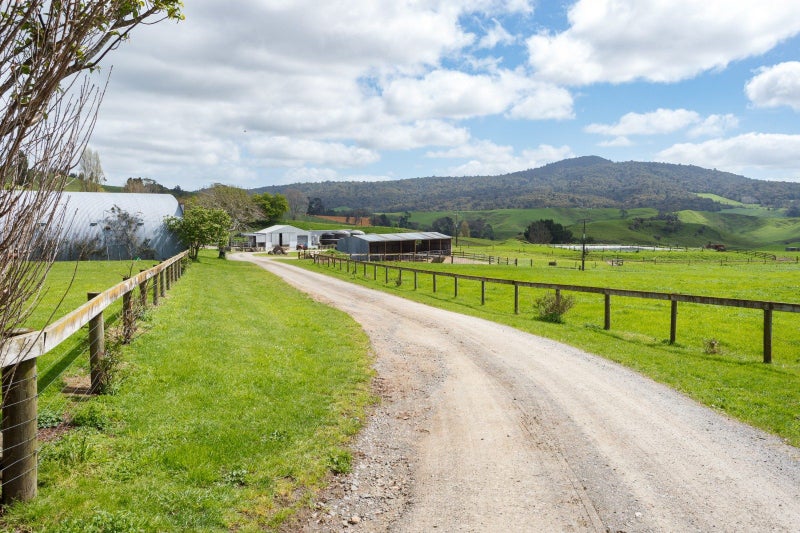 1259 Piakonui Road, Matamata, Matamata-Piako, Waikato