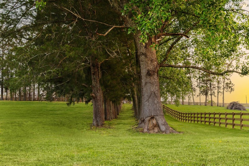 713 Ararimu Valley Road, Waimauku, Rodney, Auckland