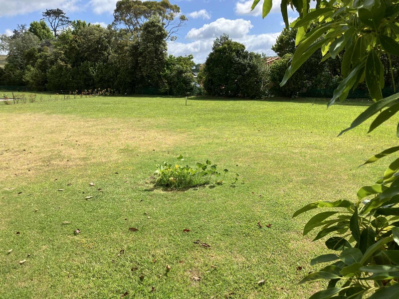 14A Austin Drive, Whitianga, Thames-Coromandel, Waikato