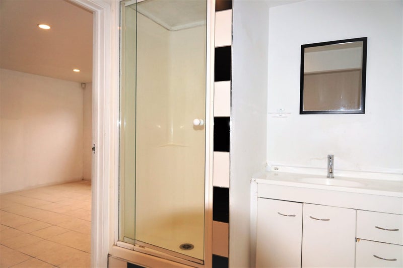 113c Tiverton Road, New Windsor, Auckland City, Auckland