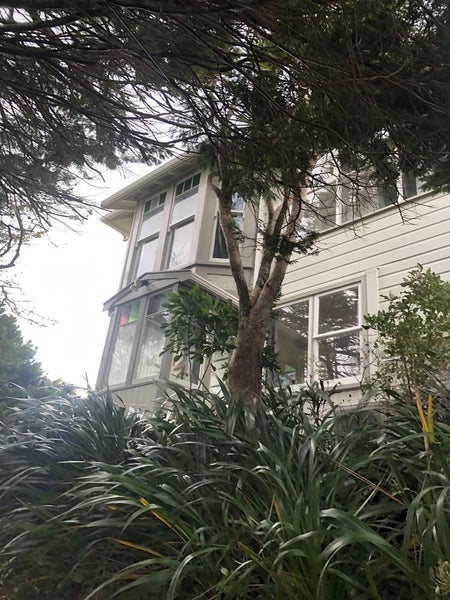 21 Disley Street, Highbury, Wellington, Wellington