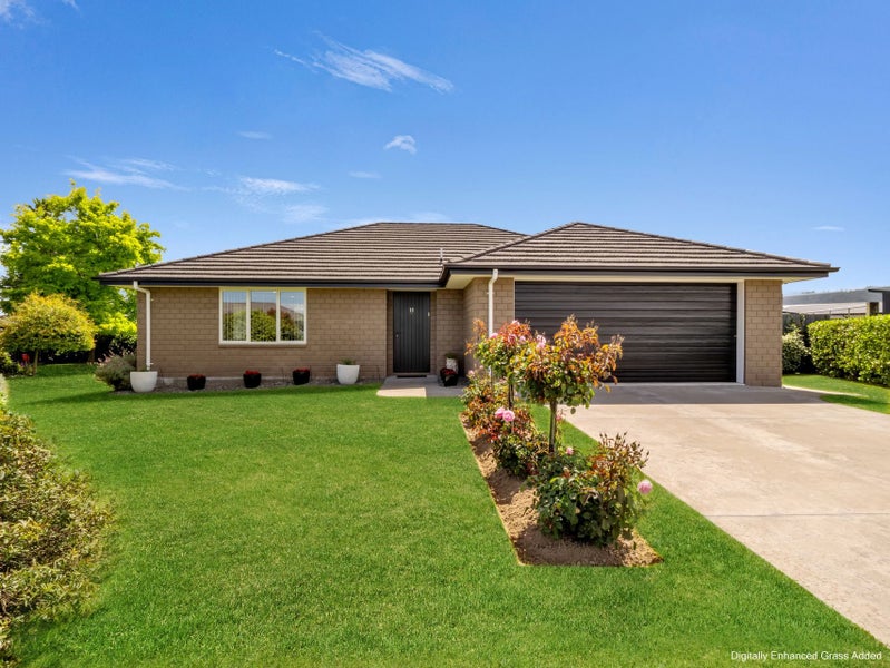 11 Ngaio Street, Levin, Horowhenua, Manawatu / Whanganui