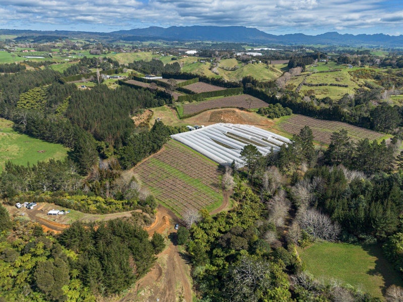 251B Esdaile Road, Whakamarama, Western Bay Of Plenty, Bay Of Plenty
