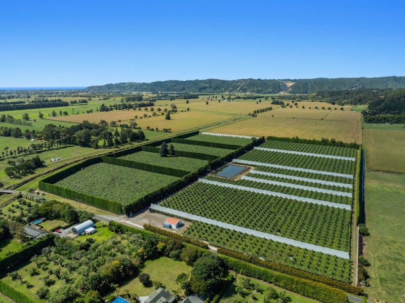 19 and 39 Butler Road, Awakeri, Whakatane, Bay Of Plenty