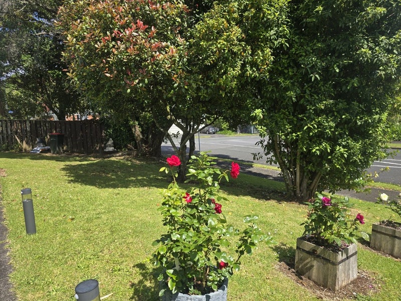 1 Archdall Street, Meadowbank, Auckland City, Auckland