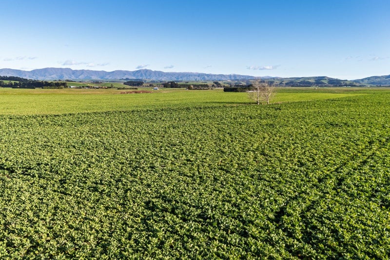 Pareora River Road, St Andrews, Timaru, Canterbury