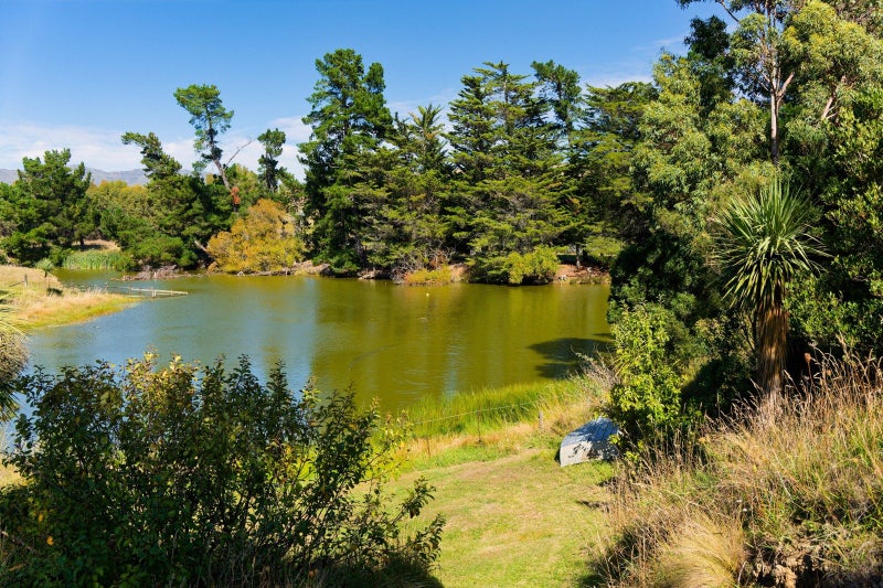 317 Caseys Road, Seddon, Marlborough, Marlborough For Sale