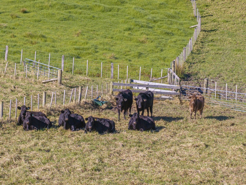 1115B Ahuroa Road, Puhoi, Rodney, Auckland For Sale