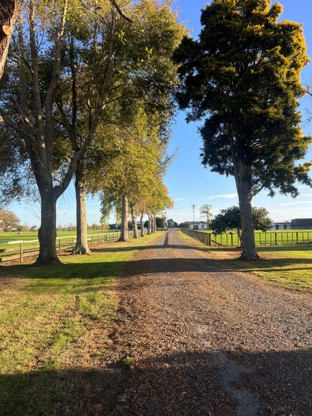 3/1628 Cambridge Road, Cambridge, Waipa, Waikato For Rent