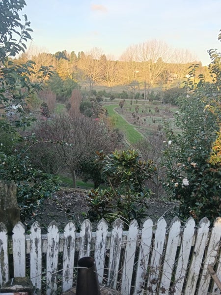 27 King St, Te Puke, Western Bay Of Plenty, Bay Of Plenty For Sale