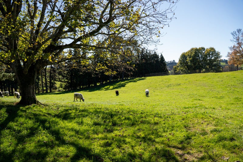 2/1873 Maungatautari Road, Cambridge, Waipa, Waikato For Sale